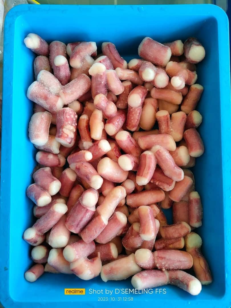 Sesungut Sotong 10% Ais (Cube) – dsemelingfrozen