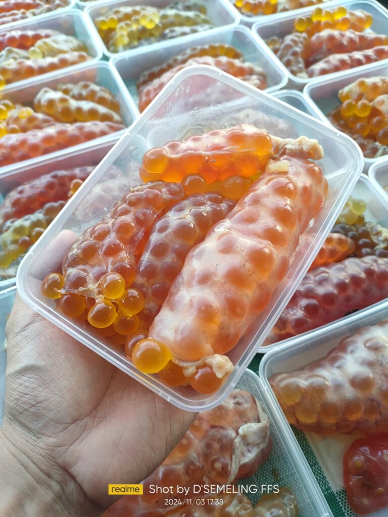 Telur Mayong Jumbo 400g – dsemelingfrozen