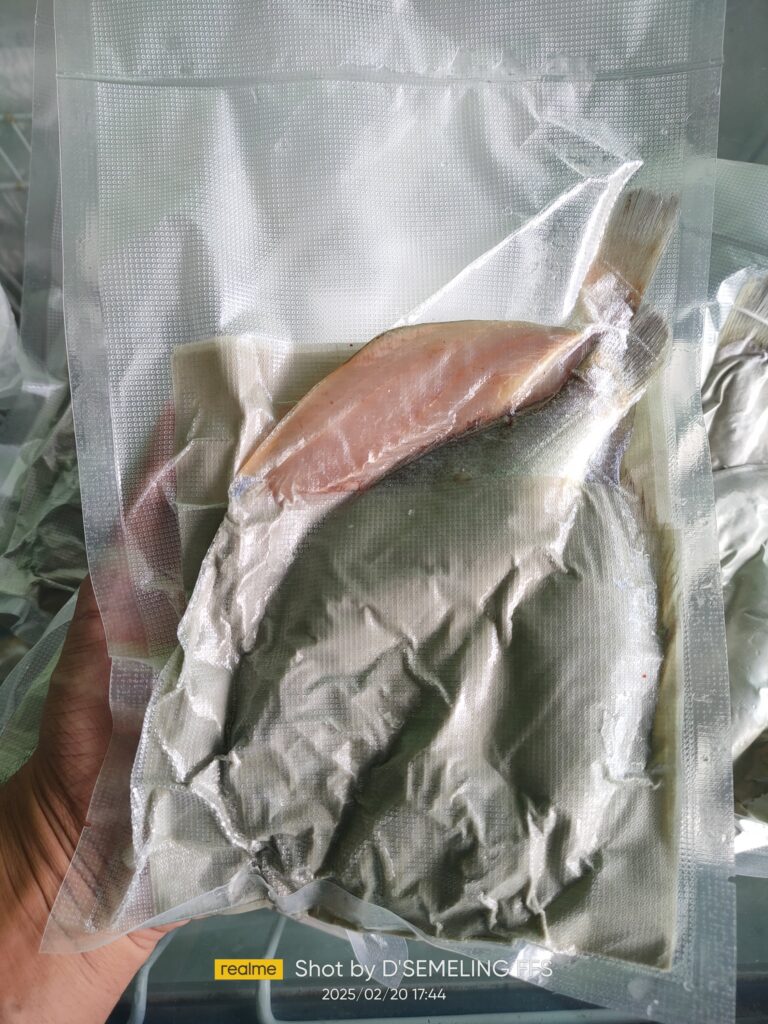 Ikan Bekok Gelama – dsemelingfrozen