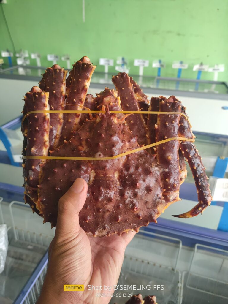 Ketam – dsemelingfrozen